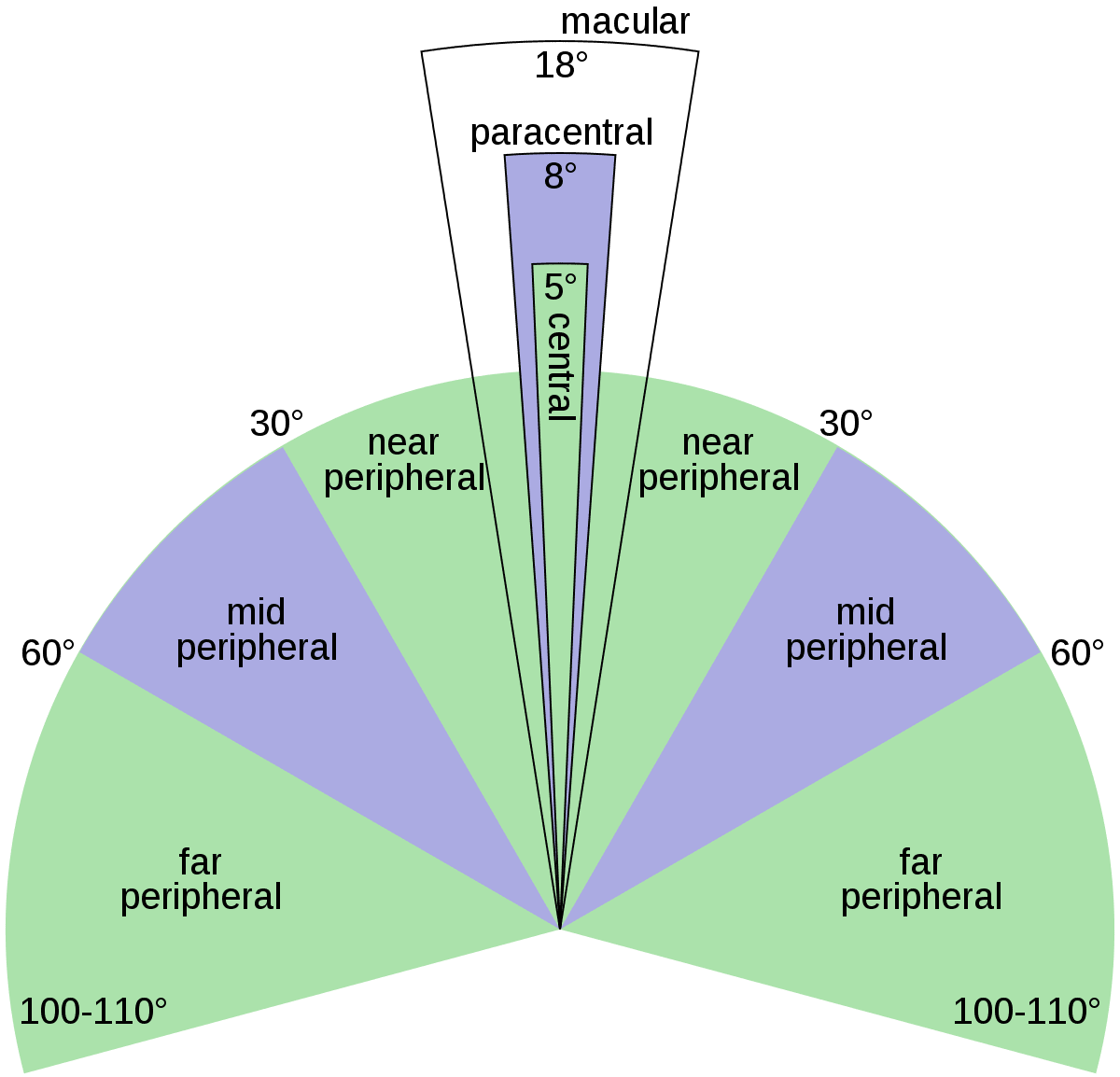 How To Use Peripheral Vision In The Martial Arts